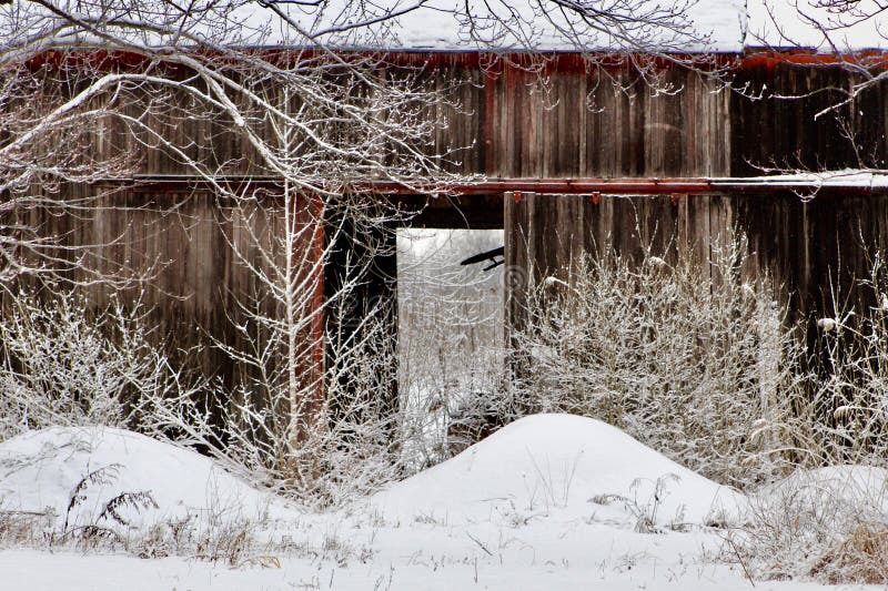 Snowy barn stock photo. Image of barn, snow, landscape - 145804186