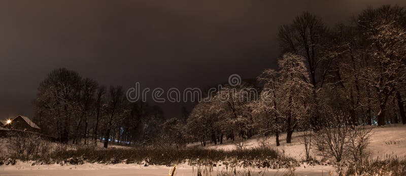 Snowy Beautiful Winter Night on the Background of the Forest Stock ...