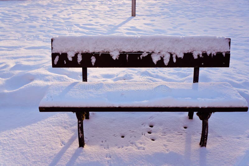Snowy bench stock image. Image of january, landscape - 81875009