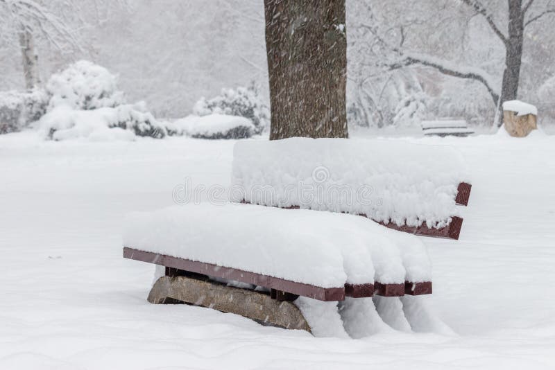 Snowy Bench in the Park Under Falling Snow Stock Image - Image of ...