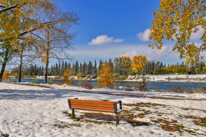 Snowy Bench Scene Facing the River Stock Image - Image of trees, tree ...