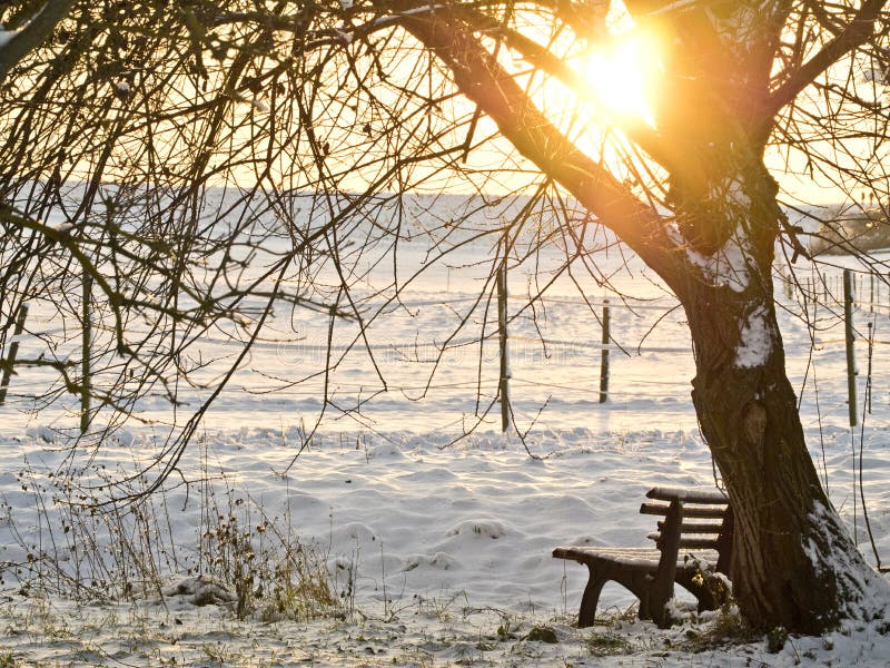 Snowy bench stock image. Image of covered, path, bench - 49473379