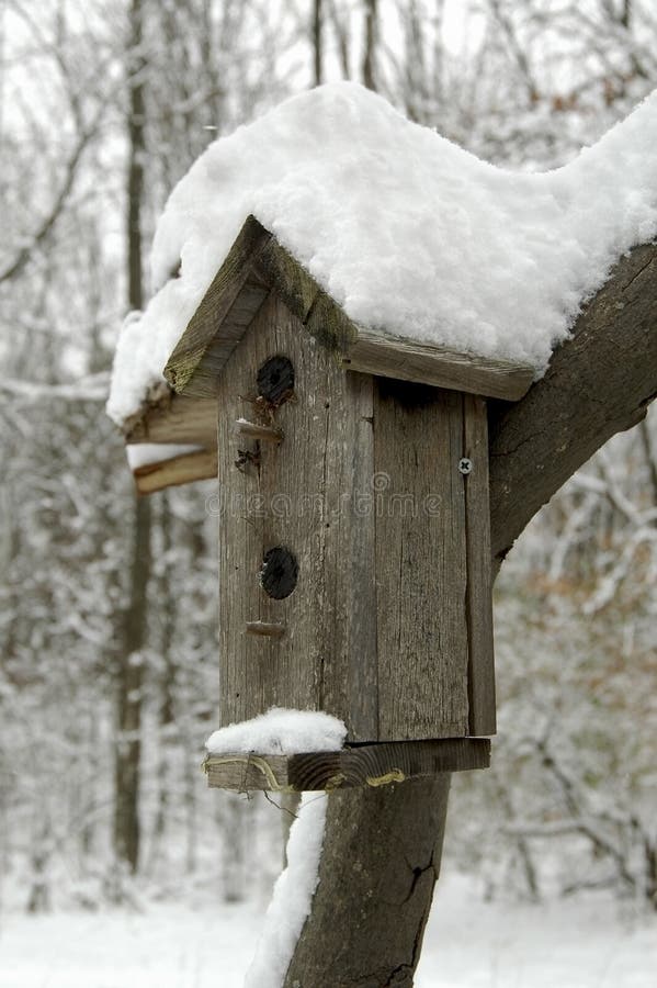 Snow covered bird house stock photo. Image of freezing - 4536822