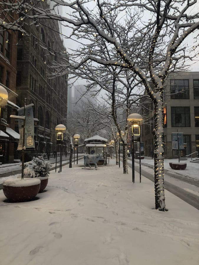 Snowy bus stop editorial stock image. Image of snow - 158957309