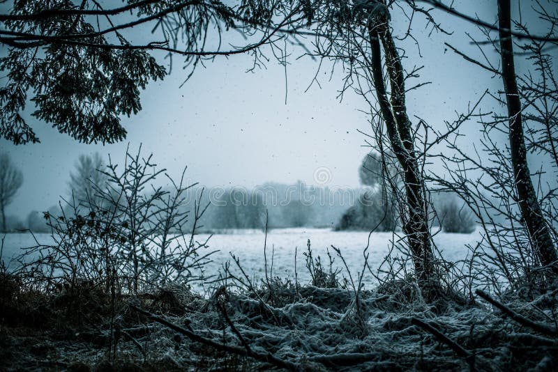 Snowy calm view stock photo. Image of grooved, snow, country - 96736160