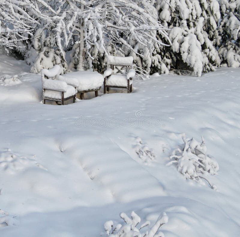 Snowy chairs in winter stock photo. Image of chairs, tree - 22829866