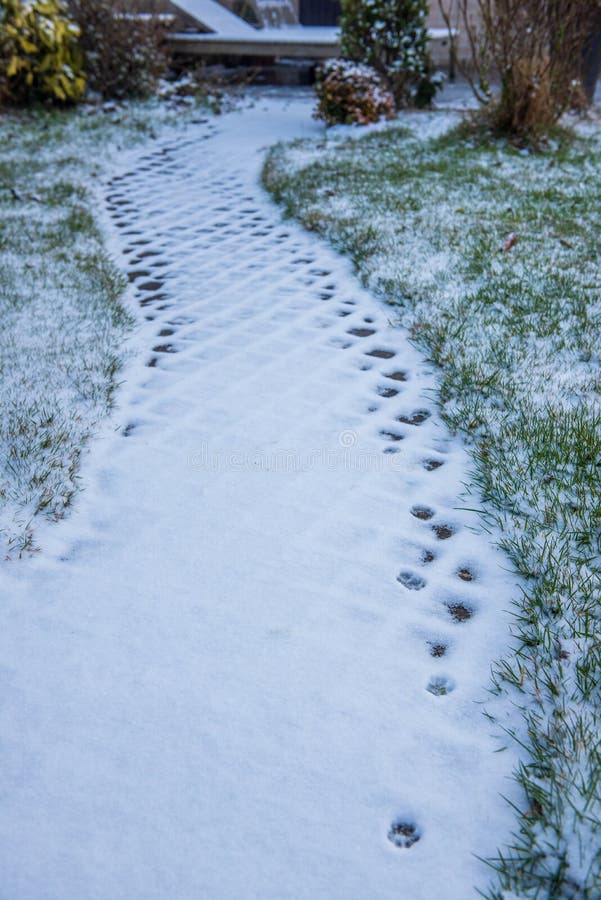 Snowy cobblestone alley stock image. Image of season - 206476609