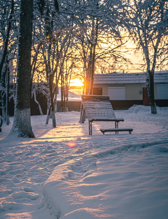 Snowy cold town stock photo. Image of tree, playgrownd - 234951340