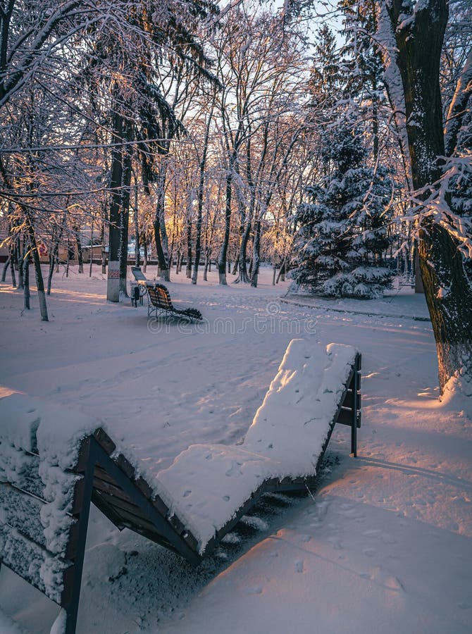 Snowy cold town stock photo. Image of town, bush, snowfall - 234951380