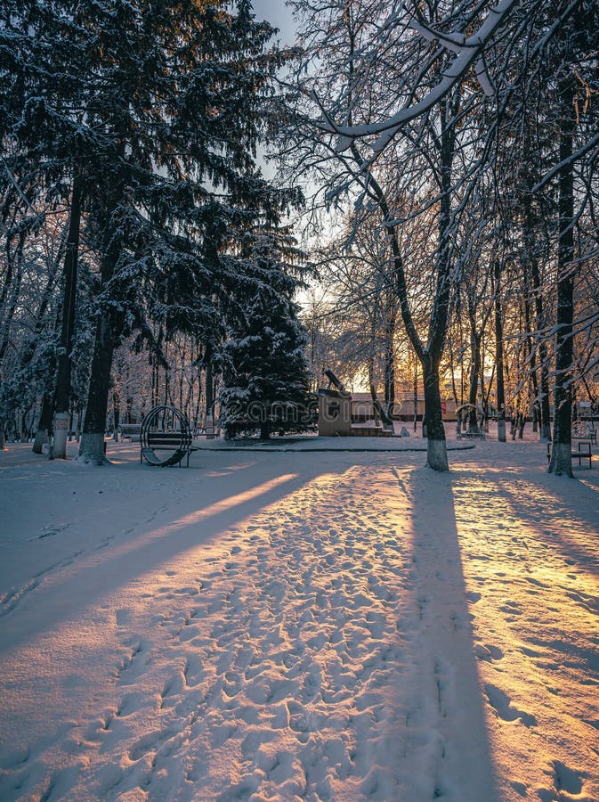 Snowy cold town stock image. Image of bush, snowfall - 234951413