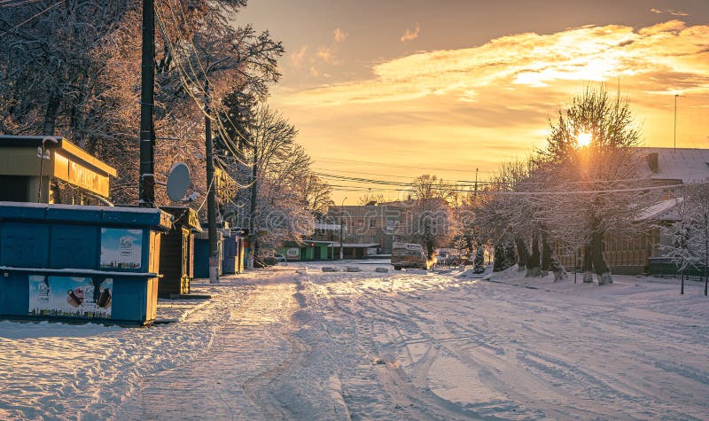 Snowy cold town editorial image. Image of bush, snowfall - 234951440
