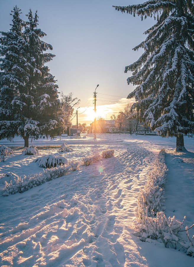 Snowy cold town stock image. Image of winter, light - 234951491