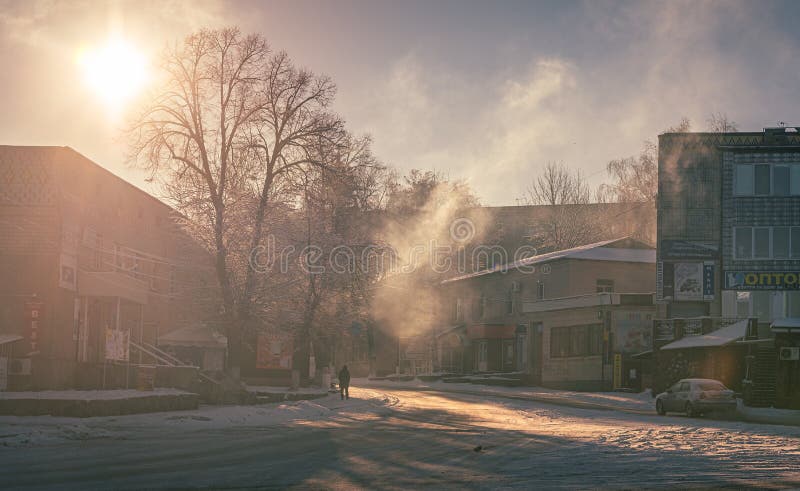 Snowy cold town editorial image. Image of cold, bush - 234951760