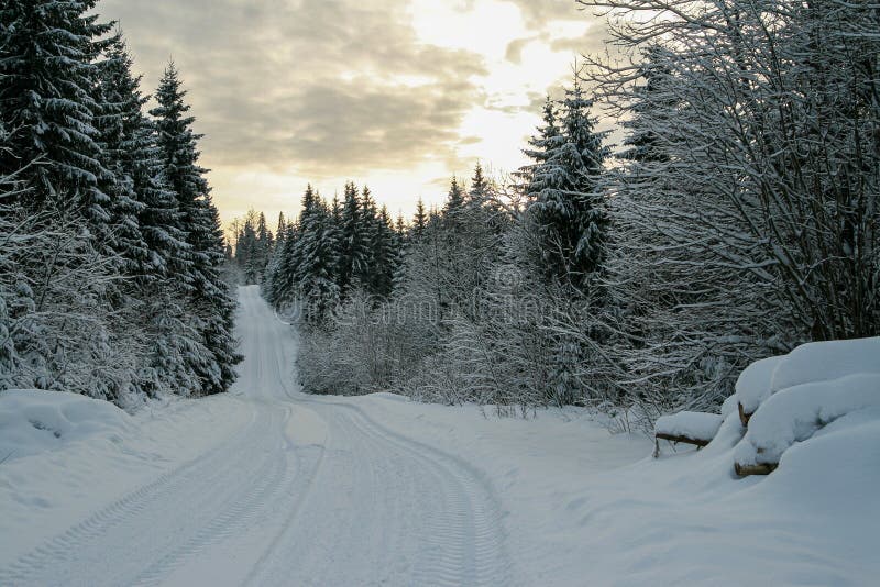 Snowy Country Road in a Forest Stock Image - Image of snowmobile, snow ...