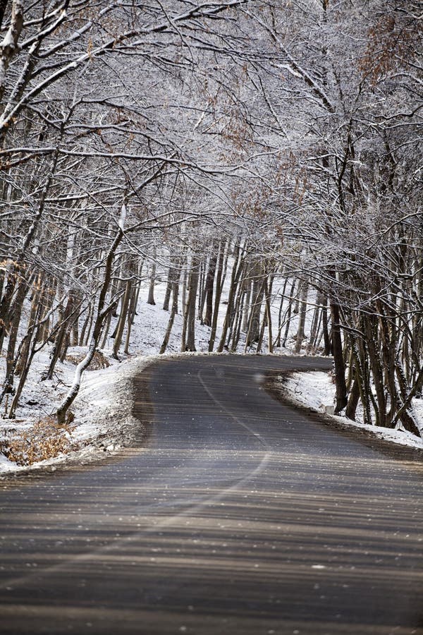 Snowy country road stock image. Image of nature, scenic - 126961965