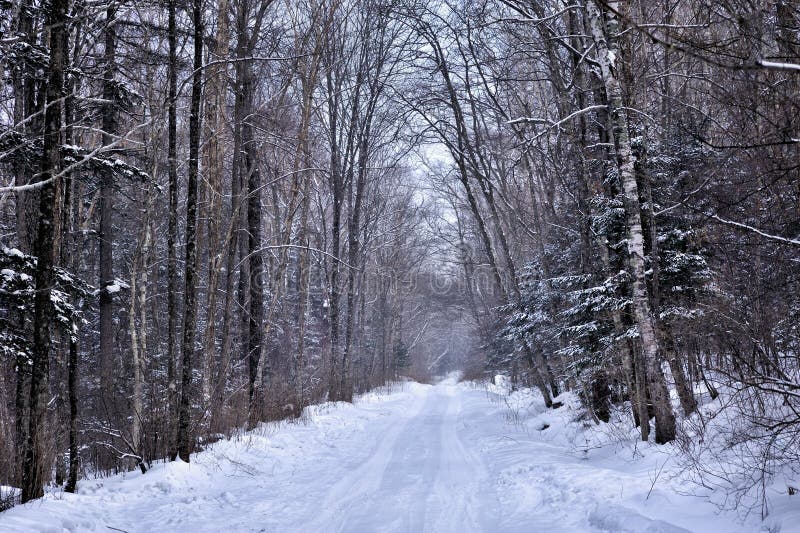 Beautiful Snowy Country Road Stock Photo - Image of december, pine ...