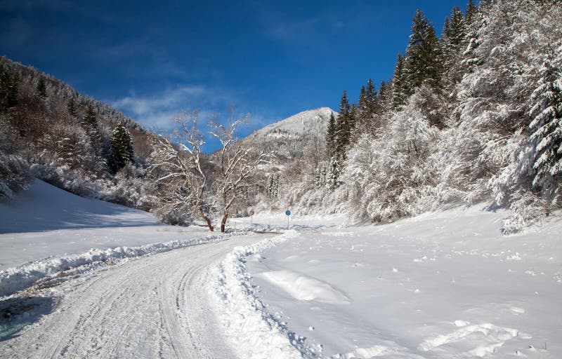 Snowy country stock image. Image of trees, country, wood - 49965243