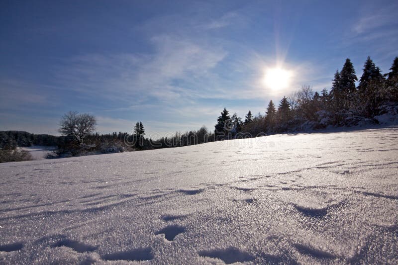 Snowy countryside stock image. Image of tree, winter - 23078069