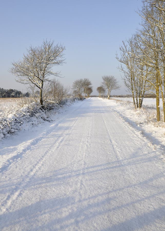 Snowy Countryside Road and Trees Stock Photo - Image of branches, frost ...