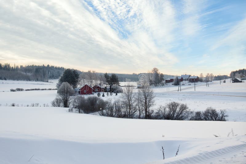 Snowy countryside scene stock image. Image of copy, rural - 236437337