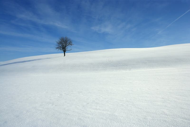 Snowy covered meadow stock image. Image of pasture, blue - 9071623