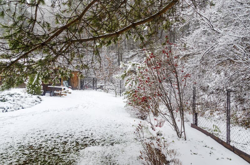 Snowy covered winter yard stock image. Image of frozen - 220095775