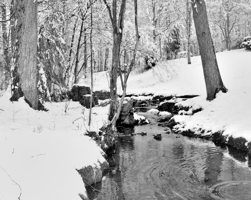 Snowy Creek stock photo. Image of blackandwhite, banks - 50804412
