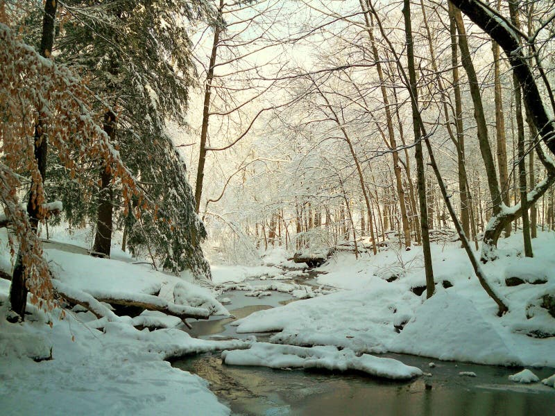 Snowy Creek stock image. Image of looking, trees, stream - 48569043