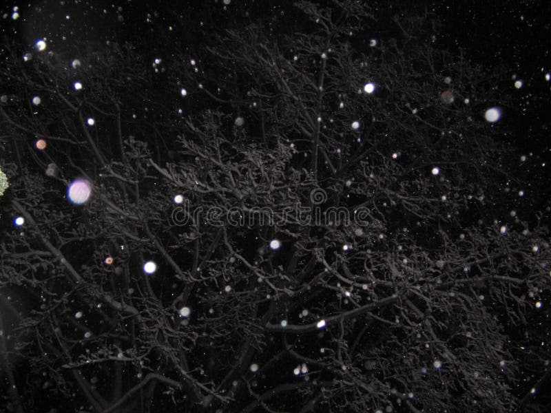 Snowy dark night stock photo. Image of snow, snowy, night - 122488222