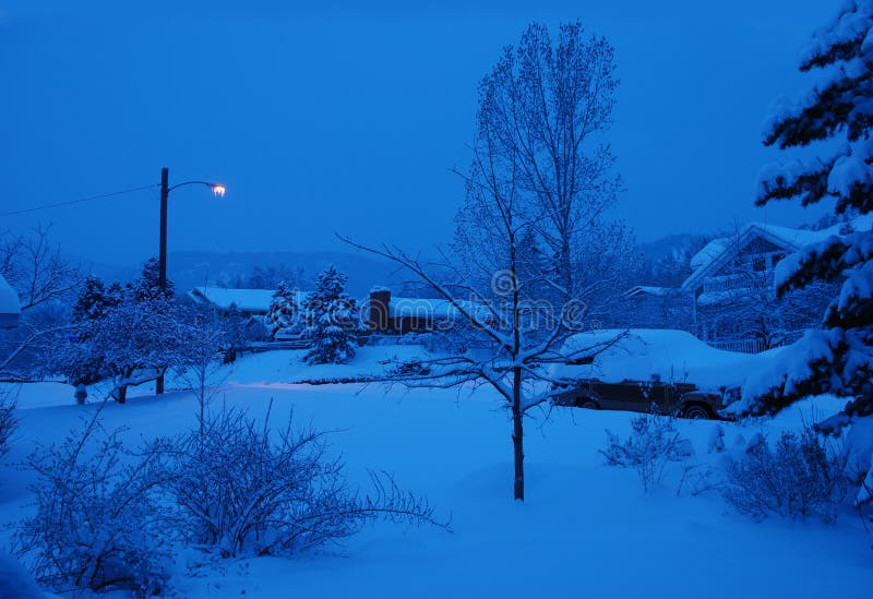 Snowy Dawn stock image. Image of fresh, winter, snow, snowstorm - 8794669