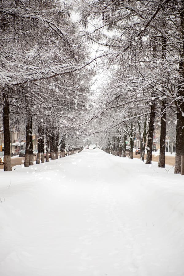 Snowy day in city stock photo. Image of street, winter - 49905752