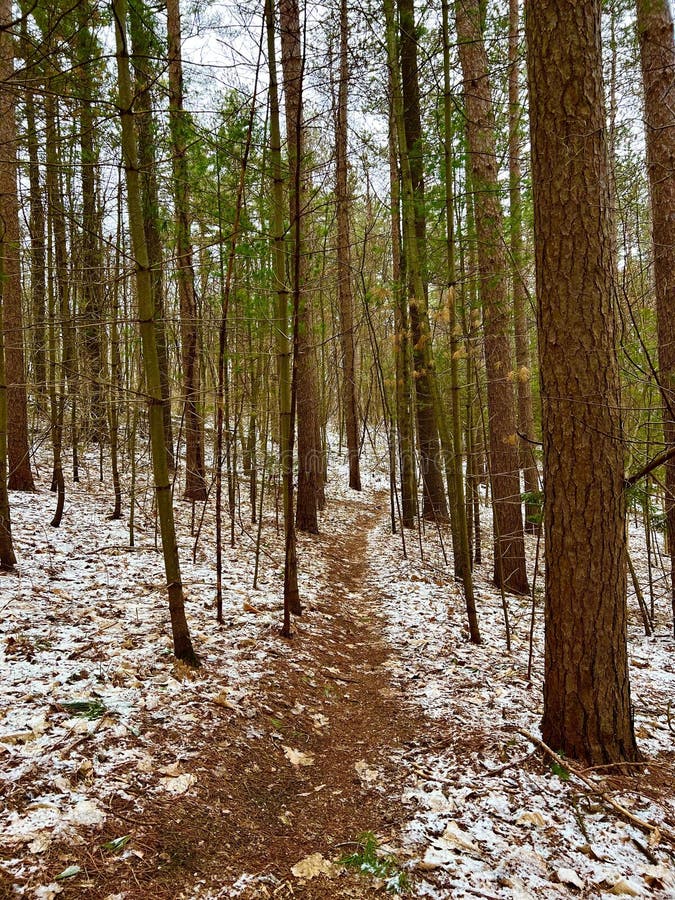 Snowy day in Pennsylvania stock image. Image of snowy - 271712167