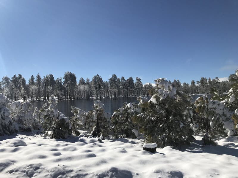 Snowy day stock image. Image of snowy, pinetop, arizona - 86779329