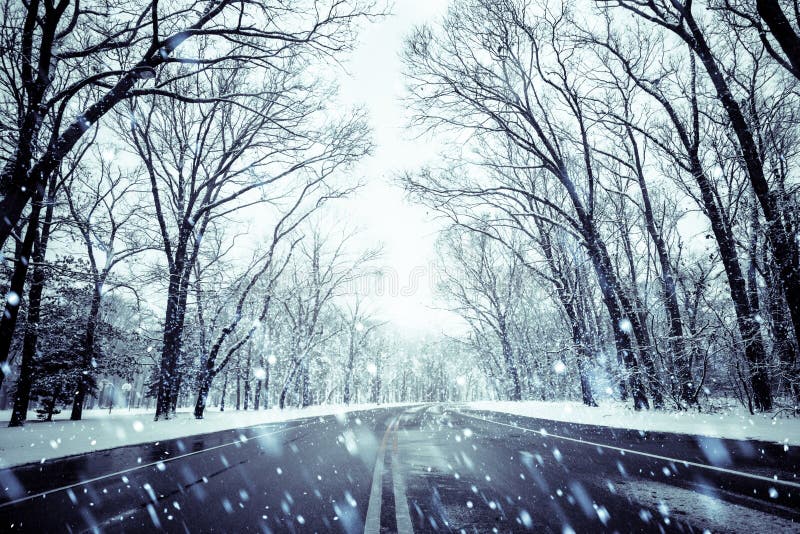 Snowy day road and trees stock image. Image of automotive - 106287397