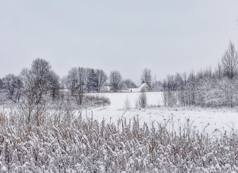 Snow-covered Field in the Countryside. a Wooden Fence of Farmland Stock ...