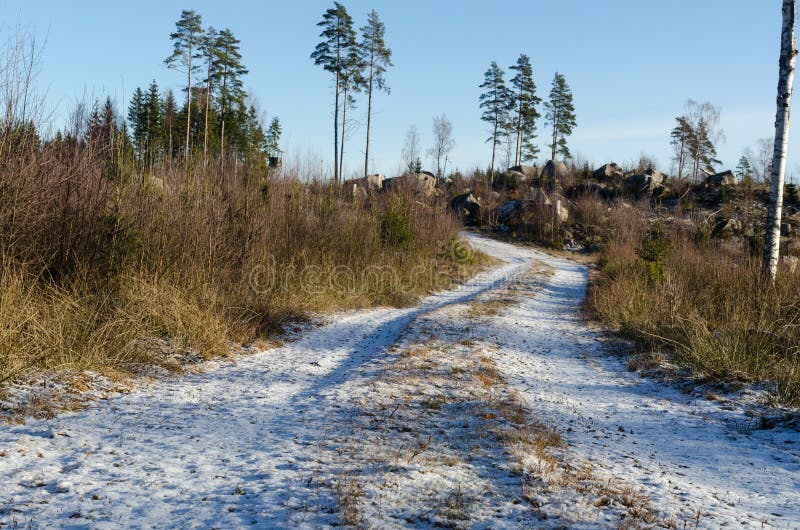 Snowy Dirt Road Leading To Open Field Stock Photo - Image of area ...