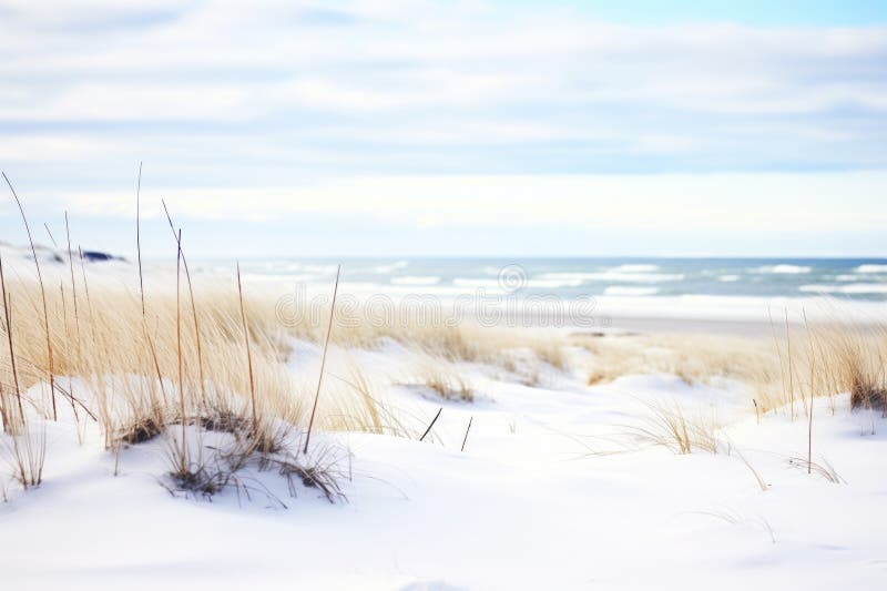 Snowy Dunes with Waves Rolling in at a Cold Beach Stock Illustration ...
