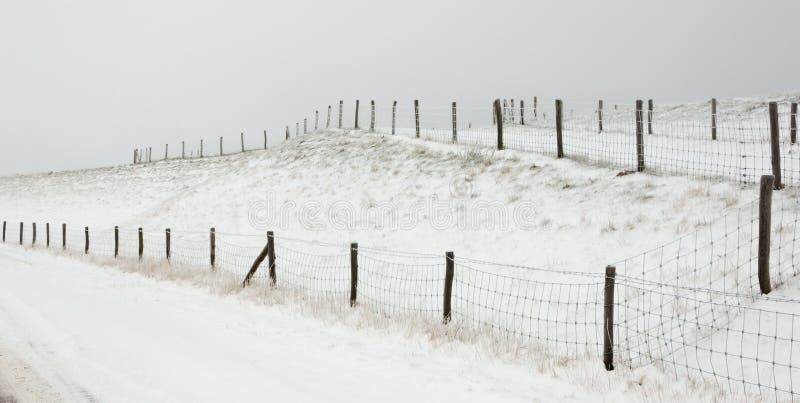 Fences in a Dutch Winter Landscape Stock Photo - Image of background ...