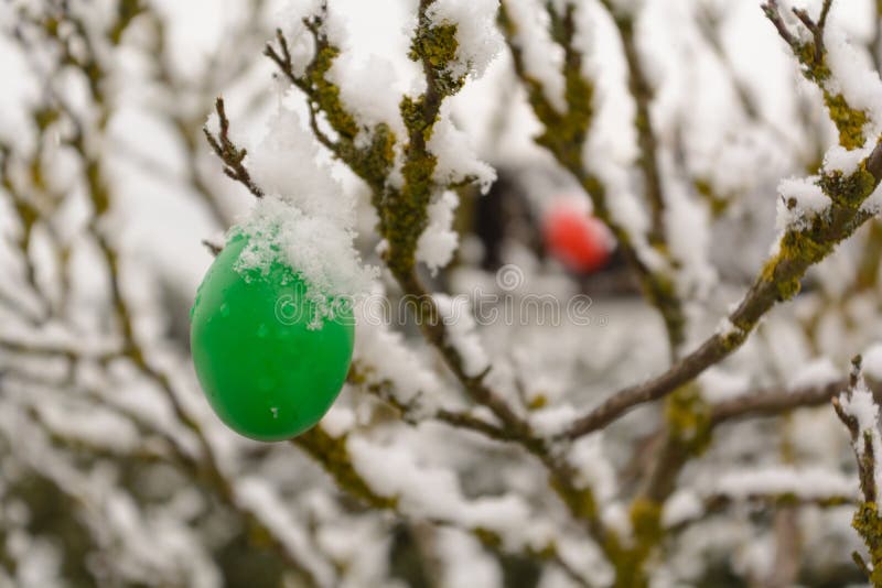Snowy Easter Eggs on a Tree Stock Photo - Image of colour, inedible ...