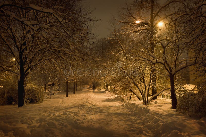 Snowy evening park stock image. Image of landscape, snowfall - 345417055
