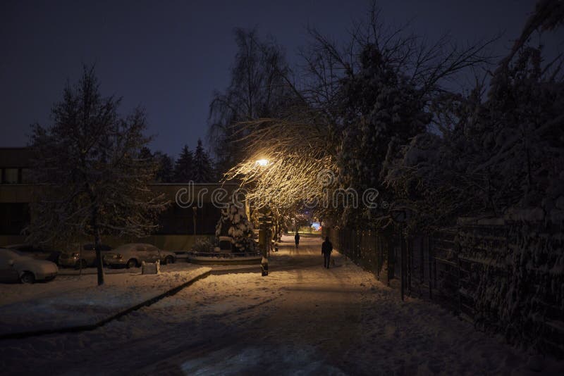 Snowy Evening on the Street Stock Photo - Image of scene, street: 265540002