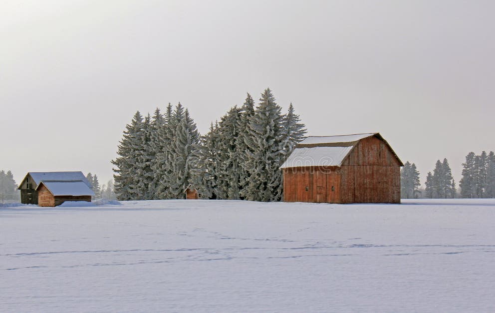 Snowy Farm #2 stock photo. Image of hoarfrost, pasture - 17666194