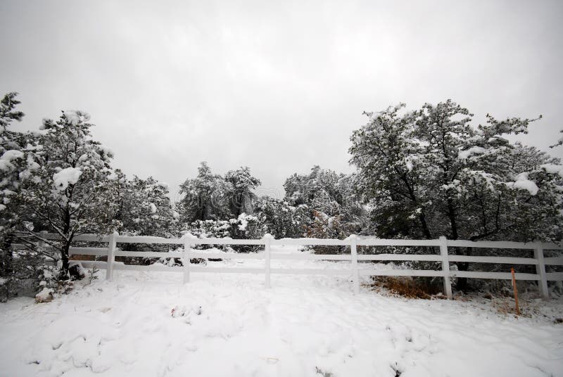 Snowy fence stock photo. Image of coldness, palisade - 16826670