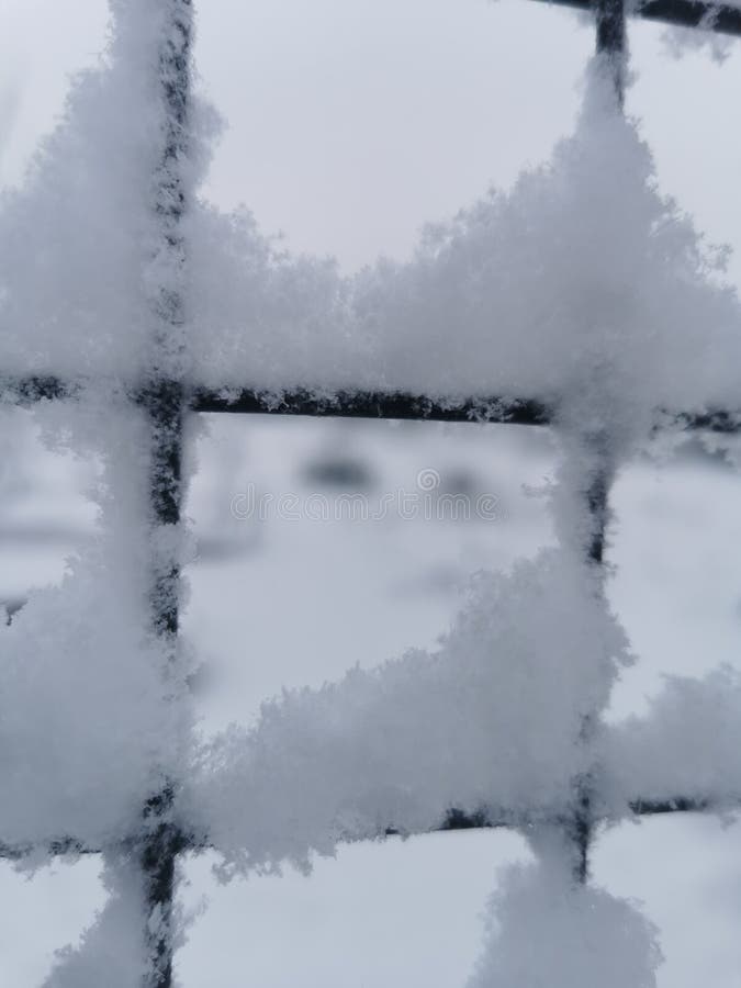 Snowy Fence stock image. Image of tree, blizzard, snow - 615869