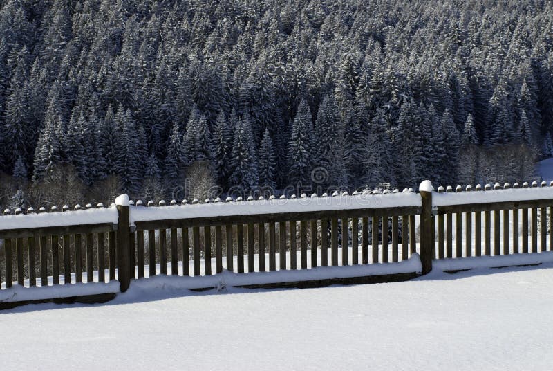 Snowy fence and trees stock image. Image of snowfall - 20295019