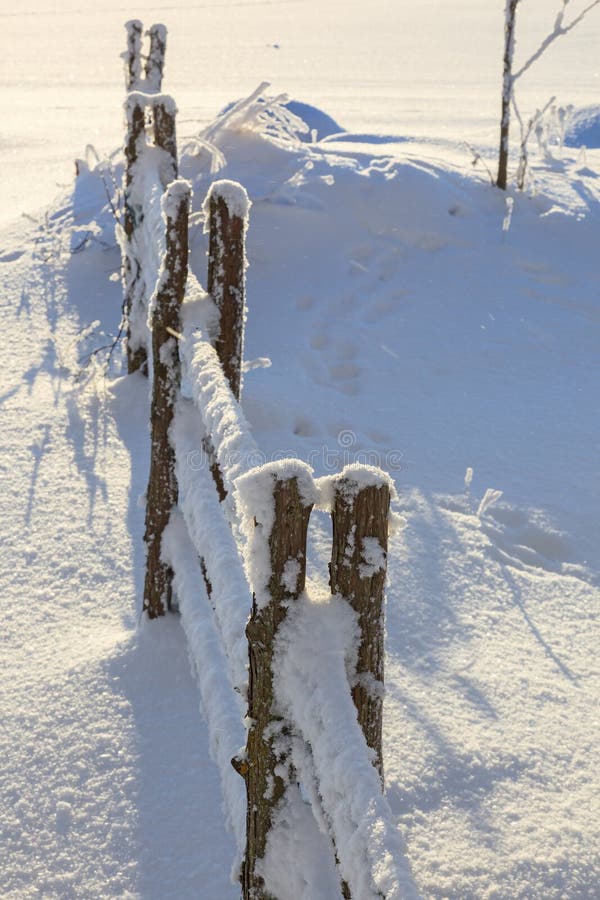 Snowy Fence stock image. Image of tree, blizzard, snow - 615869
