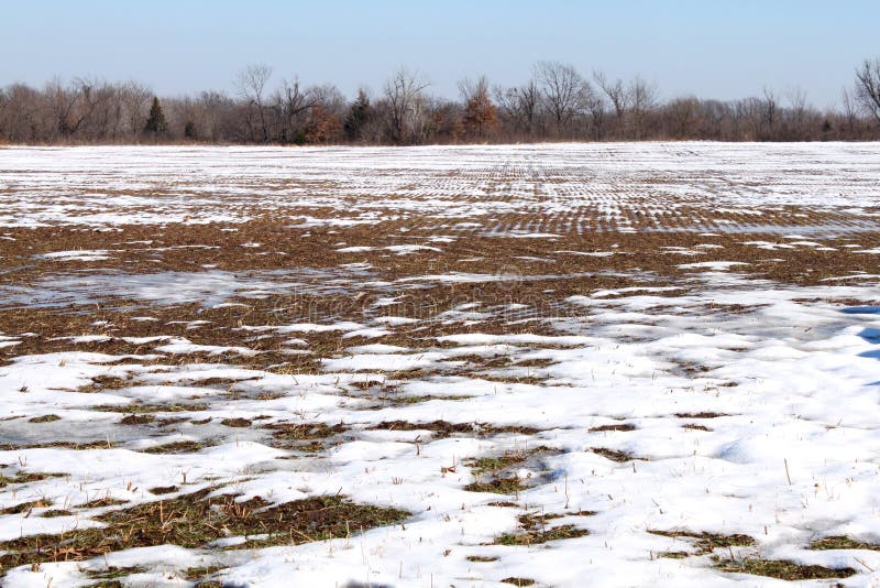 Red Barn in Snowy Field stock photo. Image of barn, countryside - 1786754