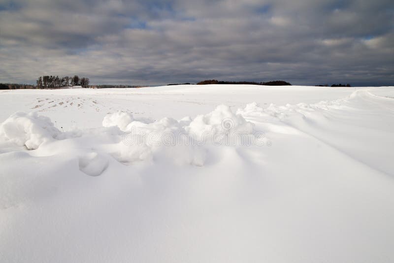 Snowy field. stock photo. Image of plain, snowy, landscape - 29199294