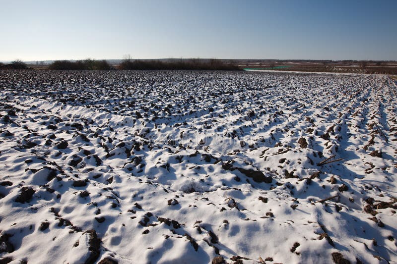 Snowy field stock photo. Image of country, industry, grass - 3965648
