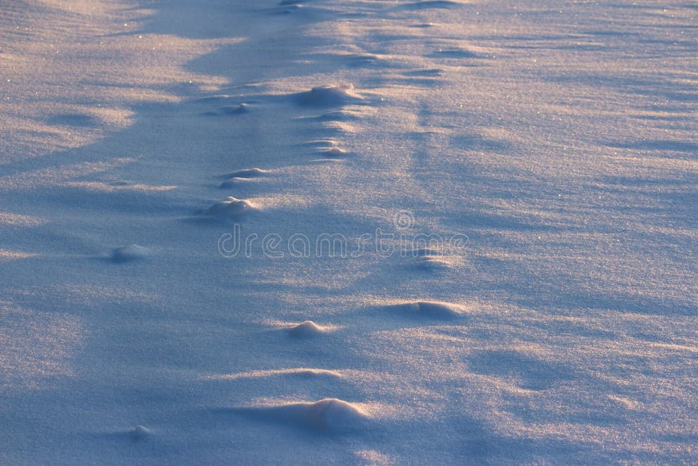 Snowy Field with Bumps of Snow Stock Photo - Image of bright, snowy ...